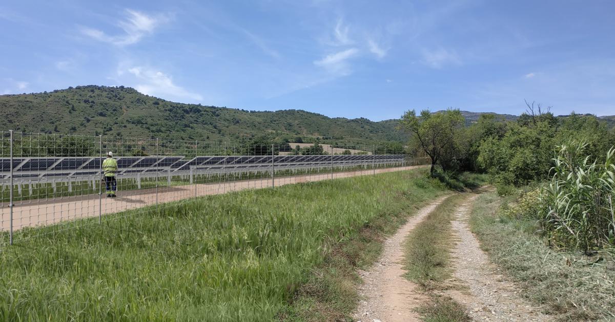 Planta Fotovoltaica El Juncar | Blueprom